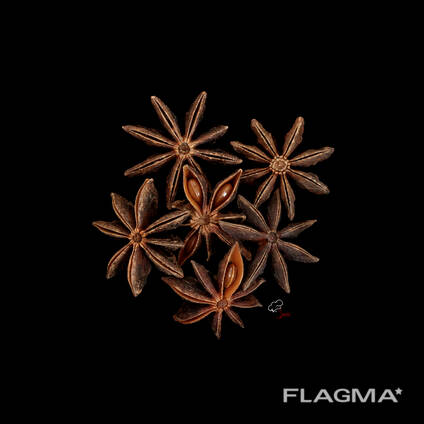 Бадьян — Купить в Минске на Flagma.by #1842322